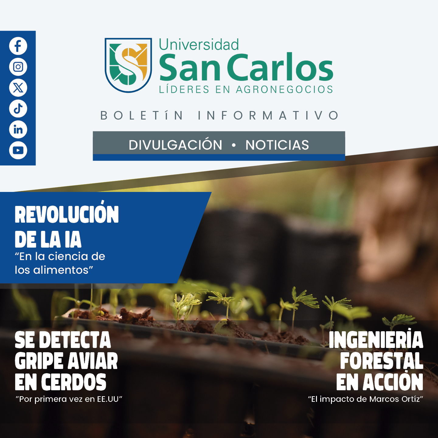 Boletín Informativo USC N° 15 – Universidad San Carlos – | Líderes en Agronegocios